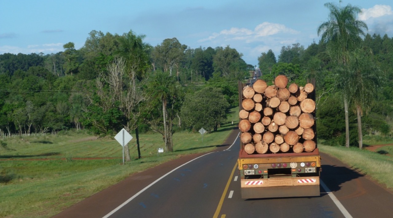 Fachinello de la Confederación Económica de Misiones en alerta con ...