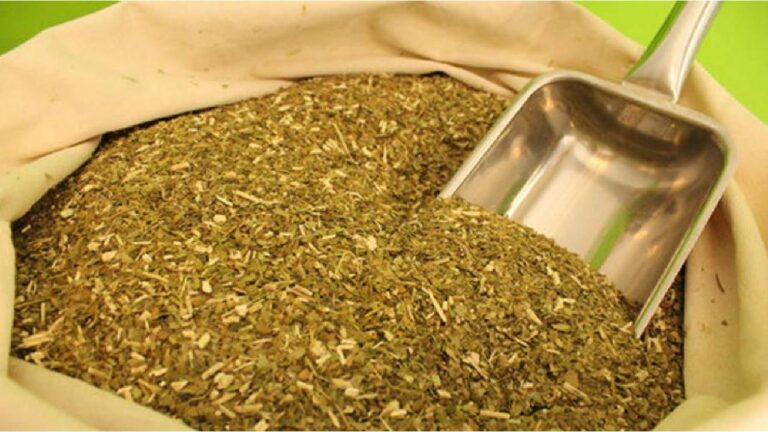 En el 2025 crecieron las ventas de yerba mate | De la Tribuna TV