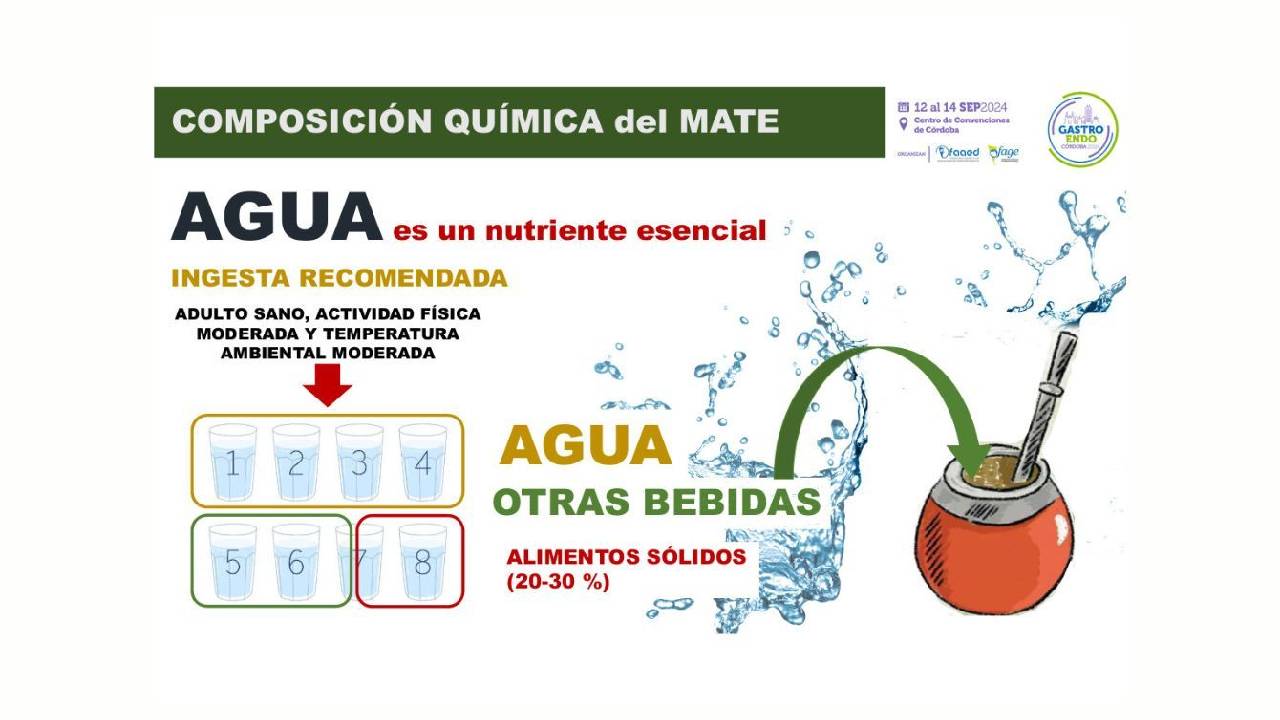 La yerba mate y sus efectos benéficos en la salud | De la Tribuna TV